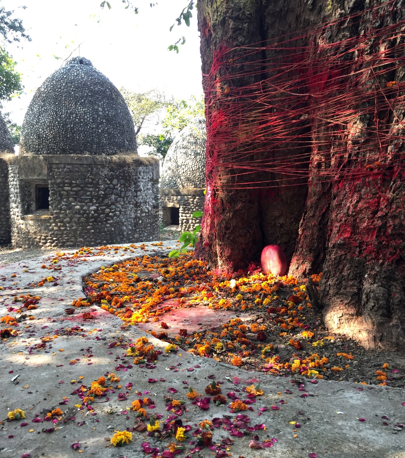 The Most Famous Ashram – Rishikesh, India – The Wanderlusting Files